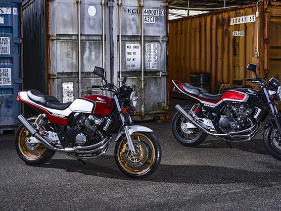 TYPE-X｜株式会社ドレミコレクション